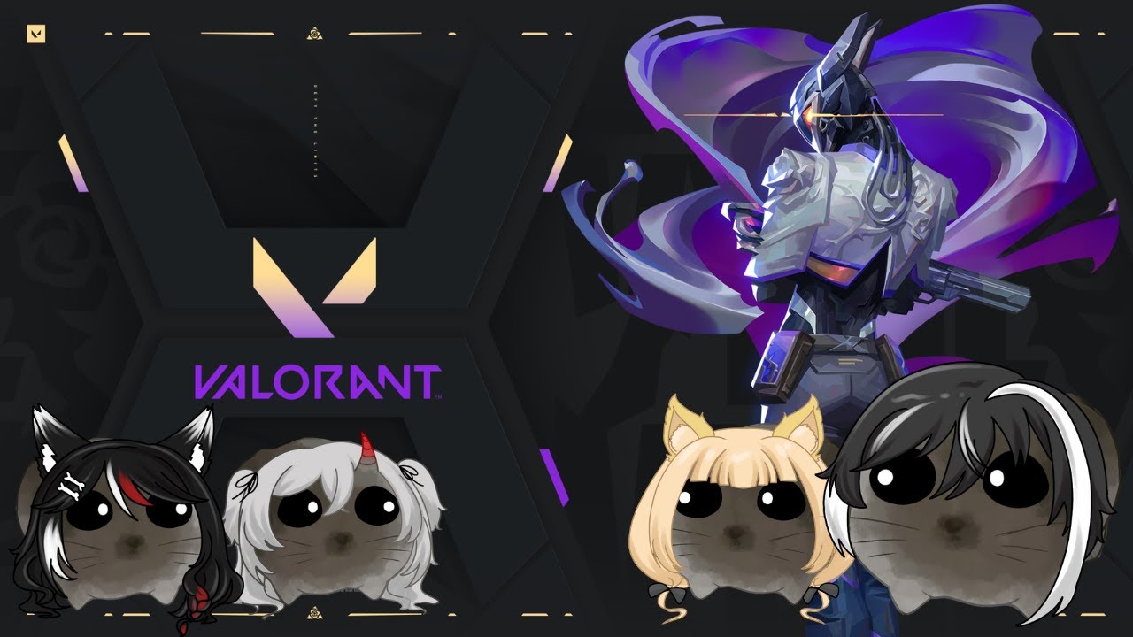 Valorant 】Squad Hamster - YouTube