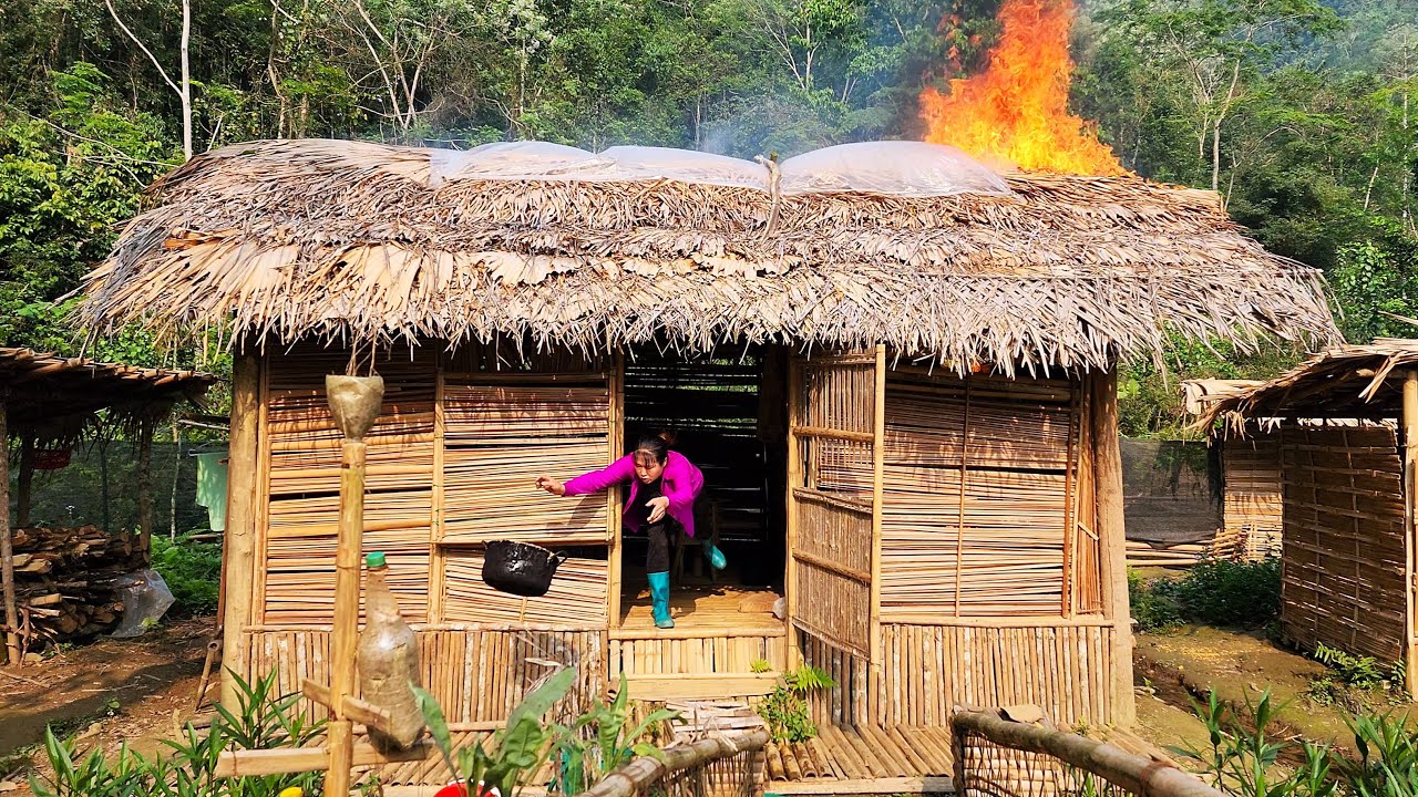 Full Video: The girl's bamboo house burned down, making her difficult ...