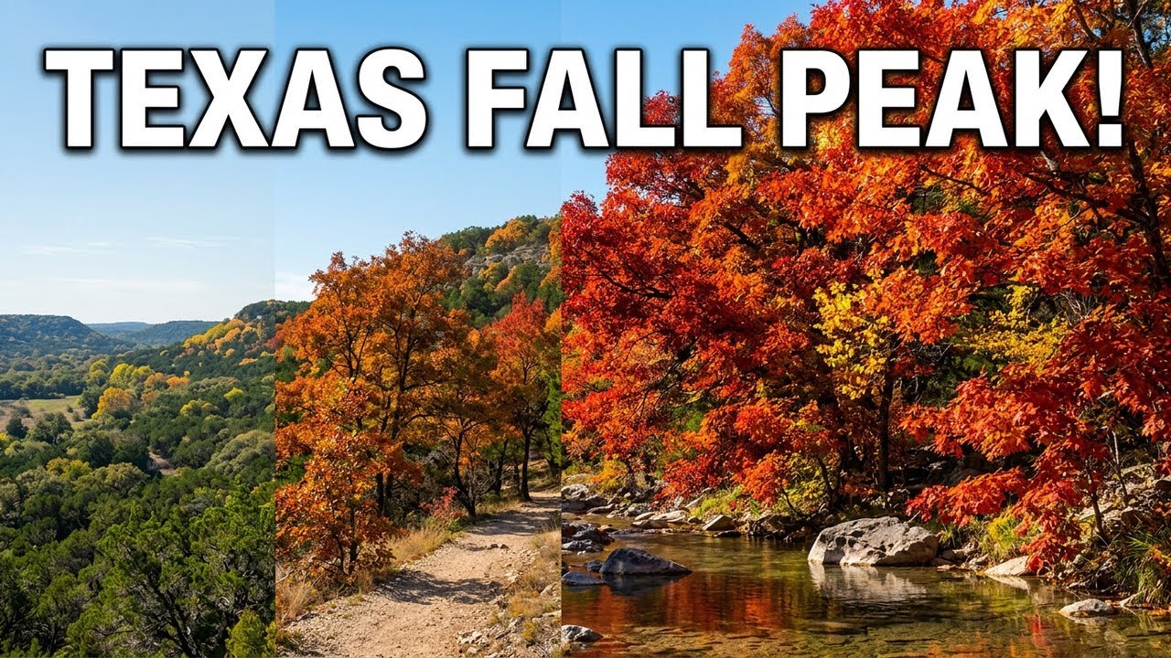 Hidden Fall Treasures in Texas State Parks You Need to Visit - YouTube