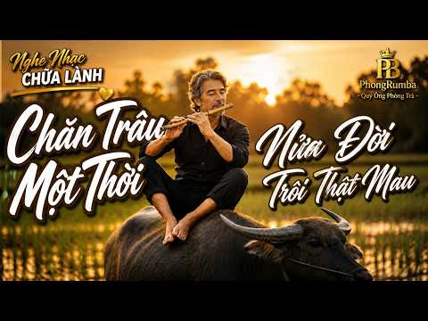 Chăn Trâu Một Thời - Xin Một Vé Tuổi thơ -Ta Về Đun Nước Pha Trà - | PHONG BLAZE  | Album Chữa Lành