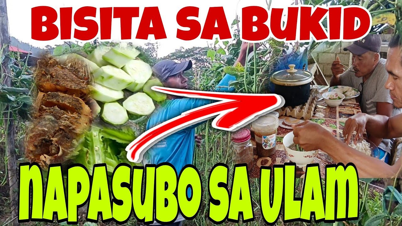 Pag Aani at Pagloloto Sa Bukid||Pilipino Food||Ilocano Style|farm to ...