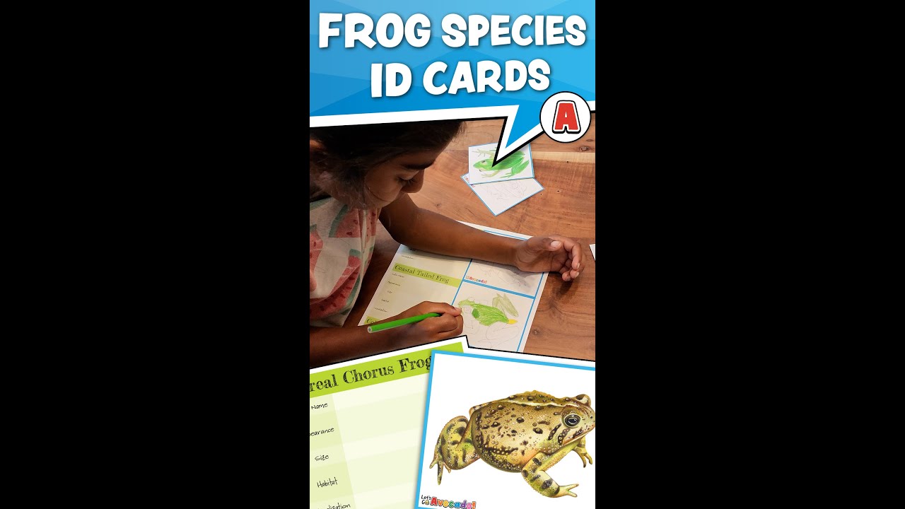 Frog Species ID Cards For Kids - YouTube