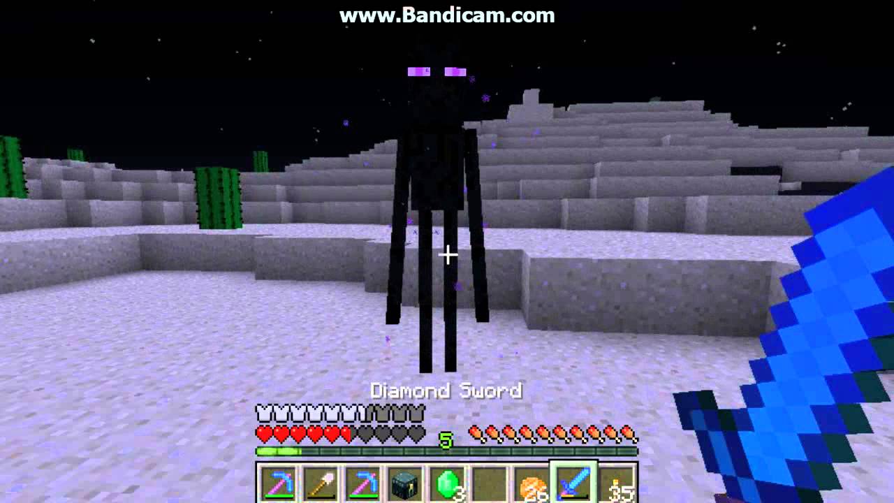 Enderman translator - nerymulti