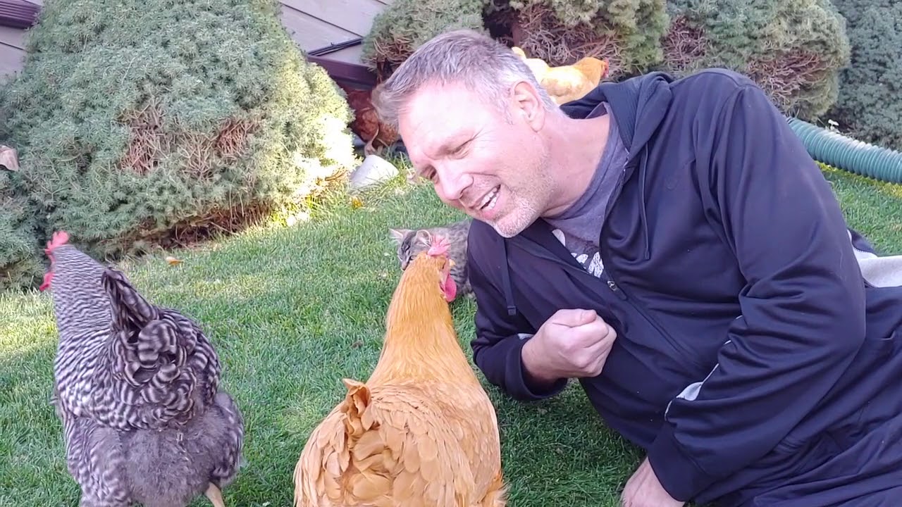 Do You Ever Talk to Your Pets Like This? Haha - Rapping Dad on Farm ...