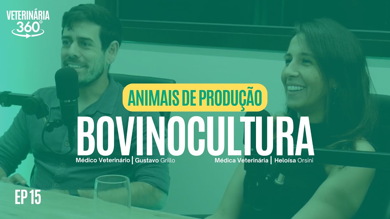 BOVINOCULTURA | Gustavo Grillo e Heloísa Orsini - Veterinária360 #15 ...