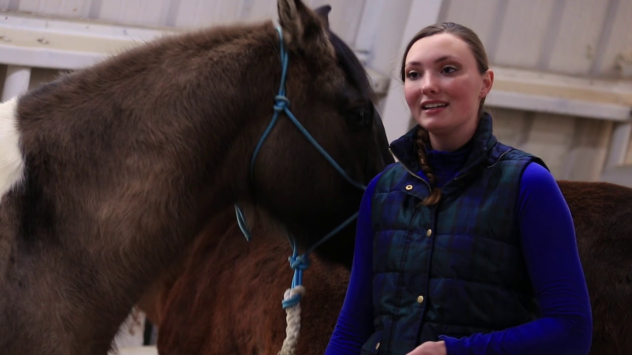 Meet Kayla Hay - YouTube