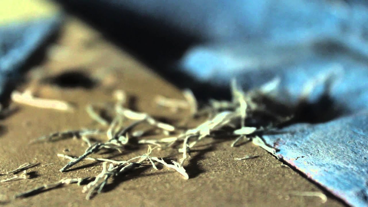 Colin Webster + Mark Holub - Qara Capa (Official Video) - YouTube