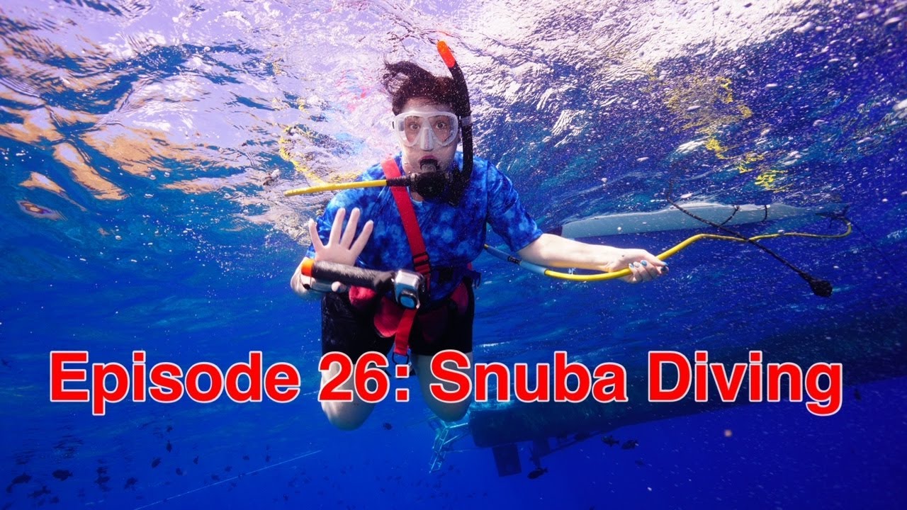 40 for 40 Episode #26: Snuba Diving - YouTube