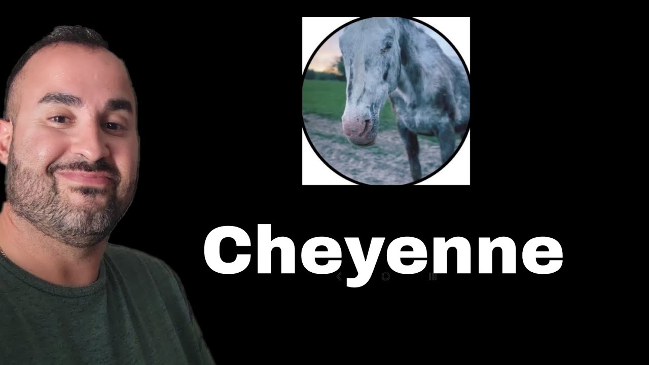 Cheyenne coin on Solana 🔥 #CHEYENNE #pnut - YouTube