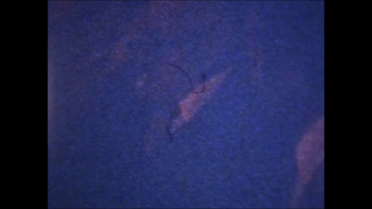 Great Grandpa John Granata 100th Birthday Party HD Color - YouTube