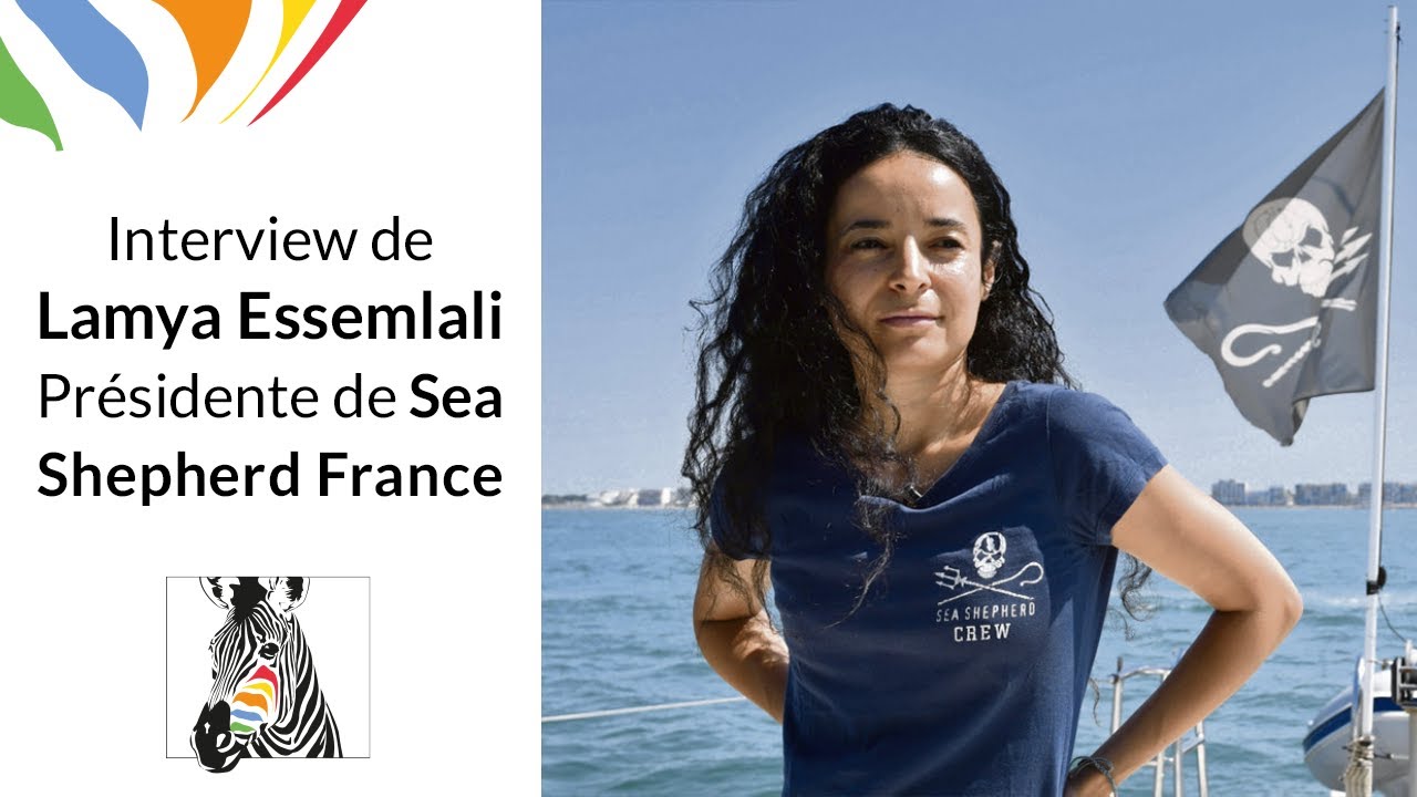 Interview de Lamya Essemlali, Présidente de Sea Shepherd France - YouTube