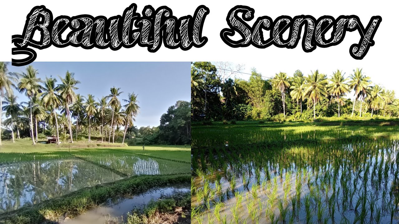 AT BASAKAN - YouTube