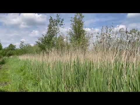 Chippenham Fen - YouTube