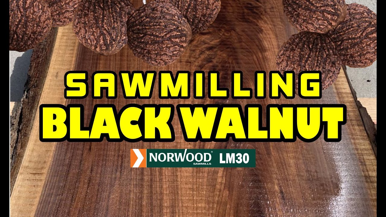 American Black Walnut is our favorite wood to saw on the Norwood LM30 ...