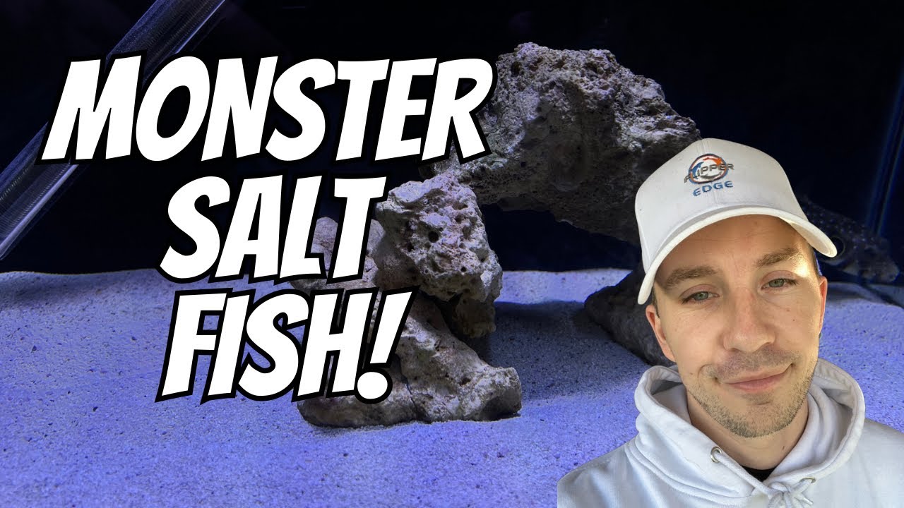 MY FIRST SALTWATER MONSTER FISH! - YouTube