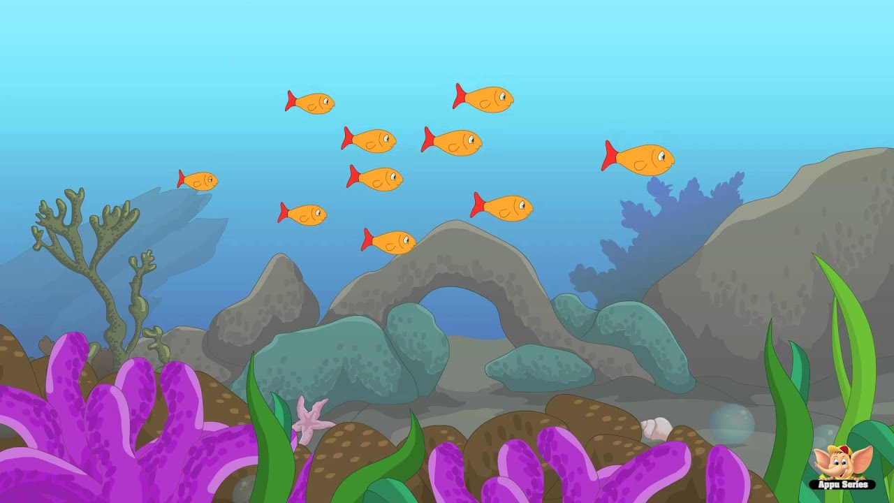 Animal Facts in Hindi - Fish - YouTube