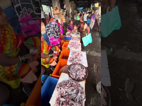 Mumbai fish market II kulaba macho mar Mumbai near navy nagar - YouTube