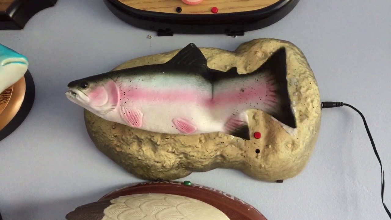 Travis the singing trout - YouTube