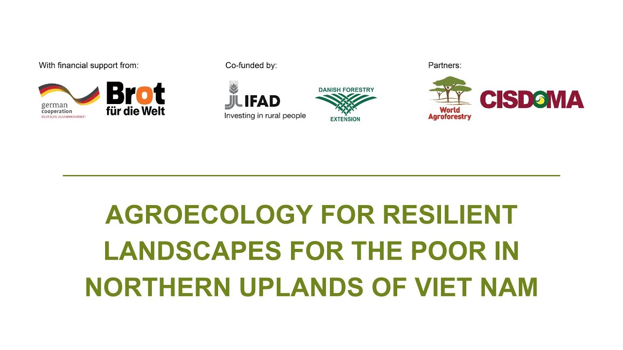 A4P Vietnam Project - YouTube