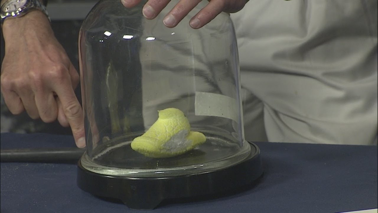 Science Sunday: Expanding Peep - YouTube