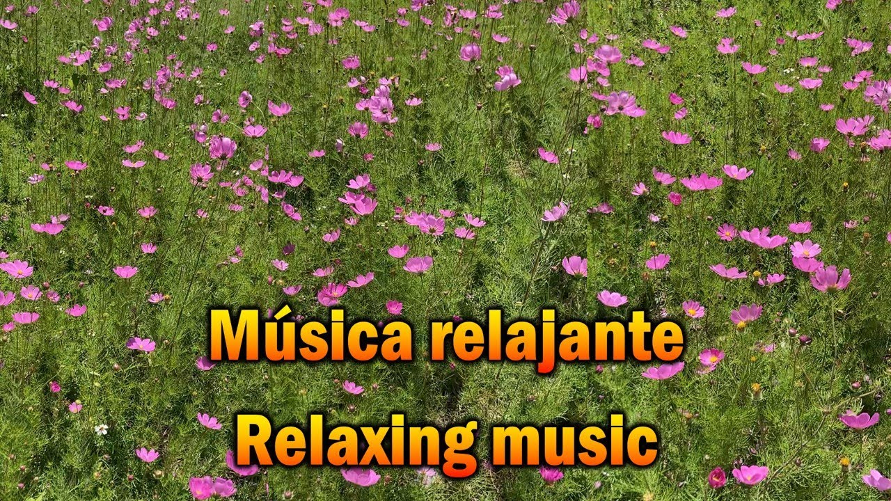 Música relajante campo de flores | Music for relaxation, meditation or ...