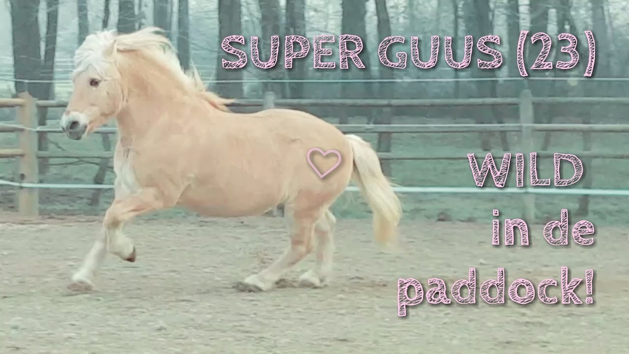 Super Guus (23) LOL in de Paddock 🤗 - YouTube