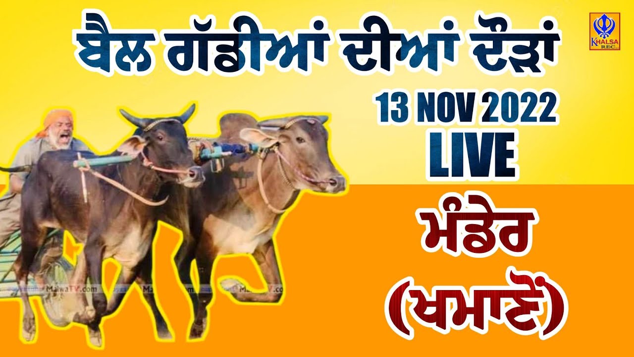 🔴[Live] Manderan | Khamano | Ox Races | 14 Nov 2022 | Khalsaji Tv - YouTube