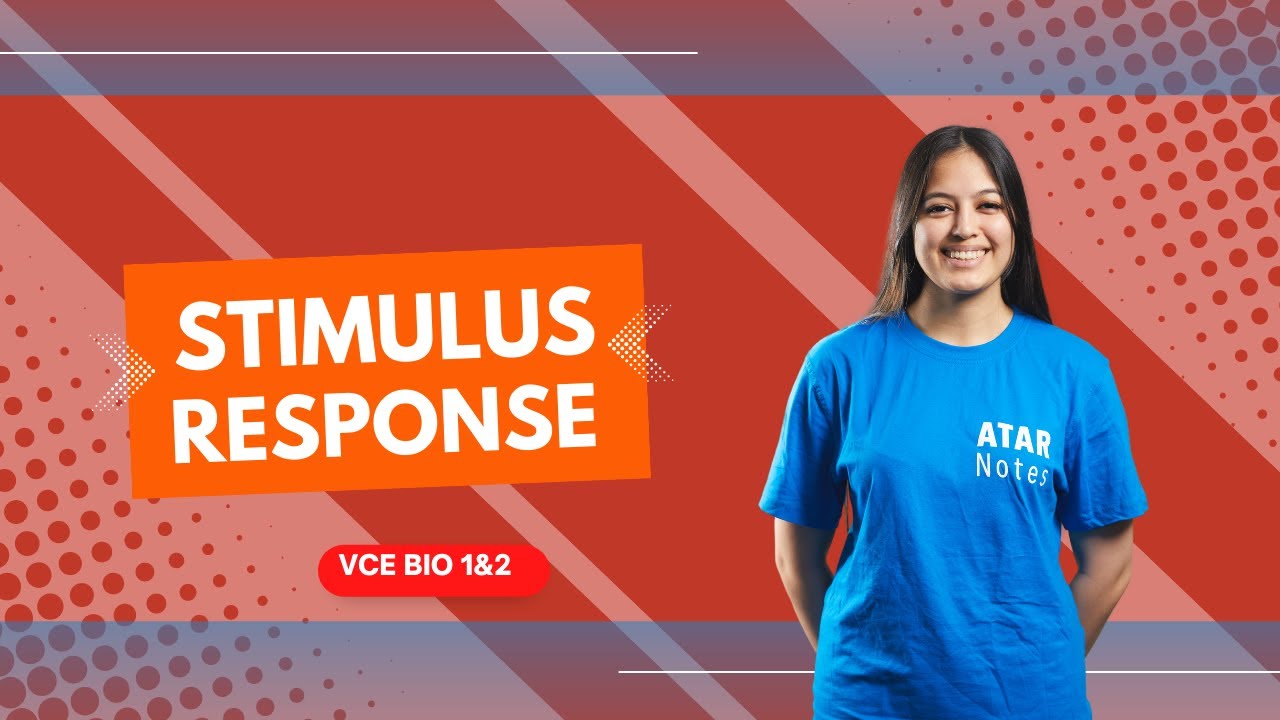 Stimulus Response Model | VCE Biology 1&2 - YouTube