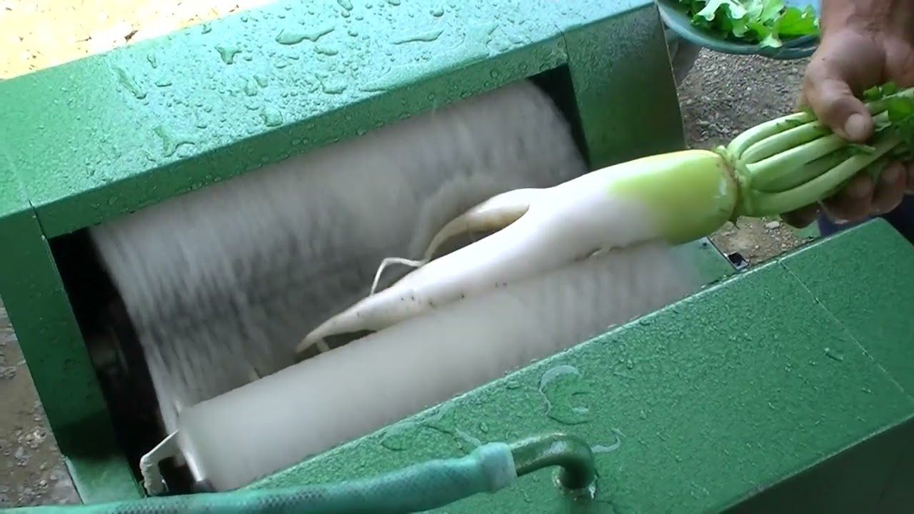 Radish Washing Machine DZ-1 - YouTube