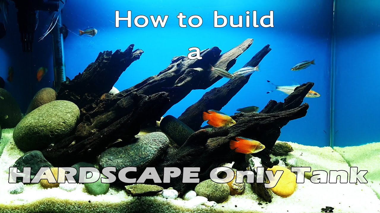 How to build a Hardscape only Fish tank? || Hardscape || Aquarium ...
