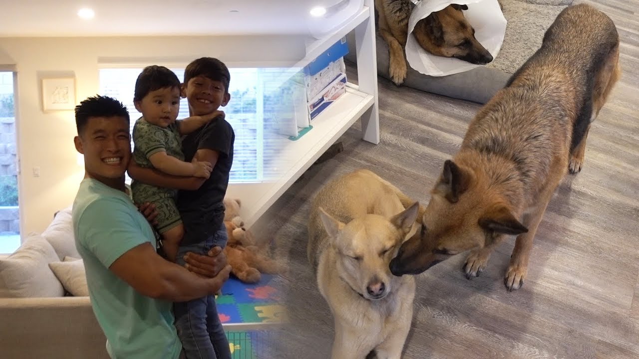 Giving Briggy Away?! - YouTube