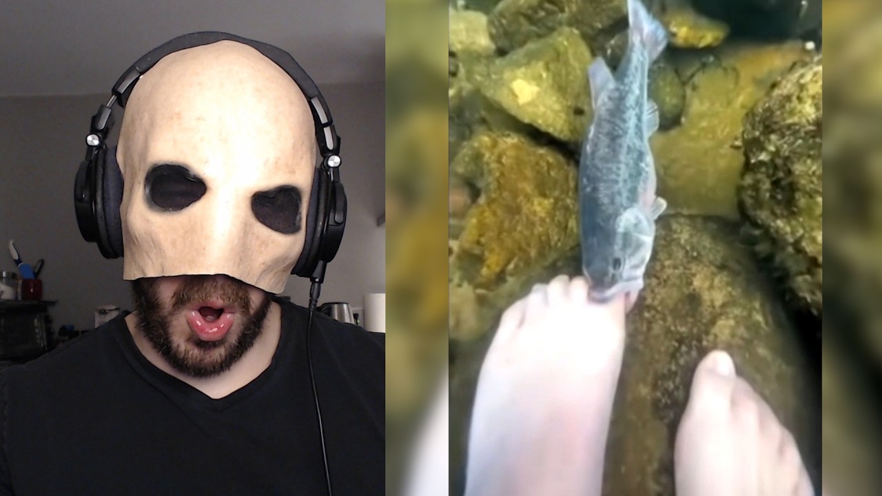 Try Not To Meme #12 - YouTube