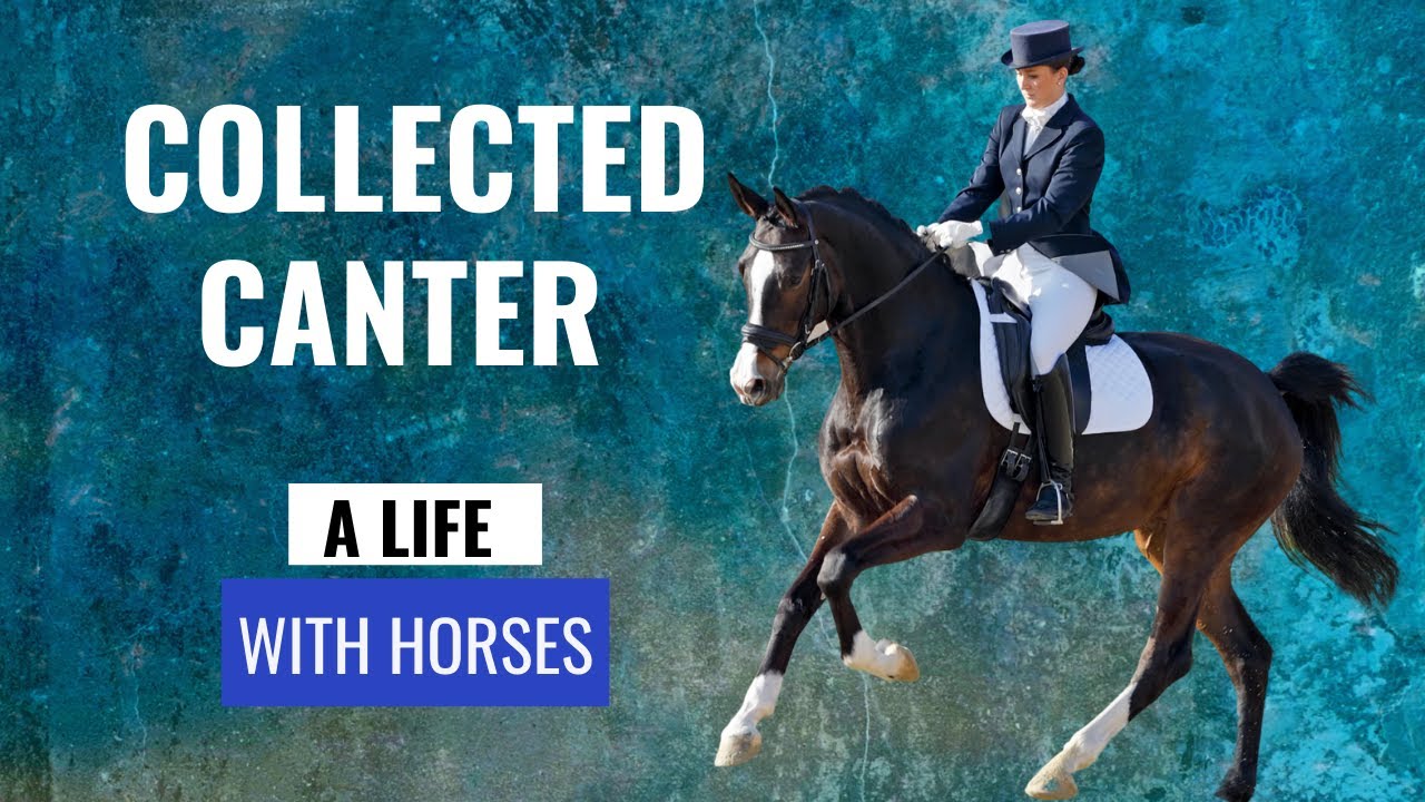 UPDATE:The Canter- Working on Collection - YouTube