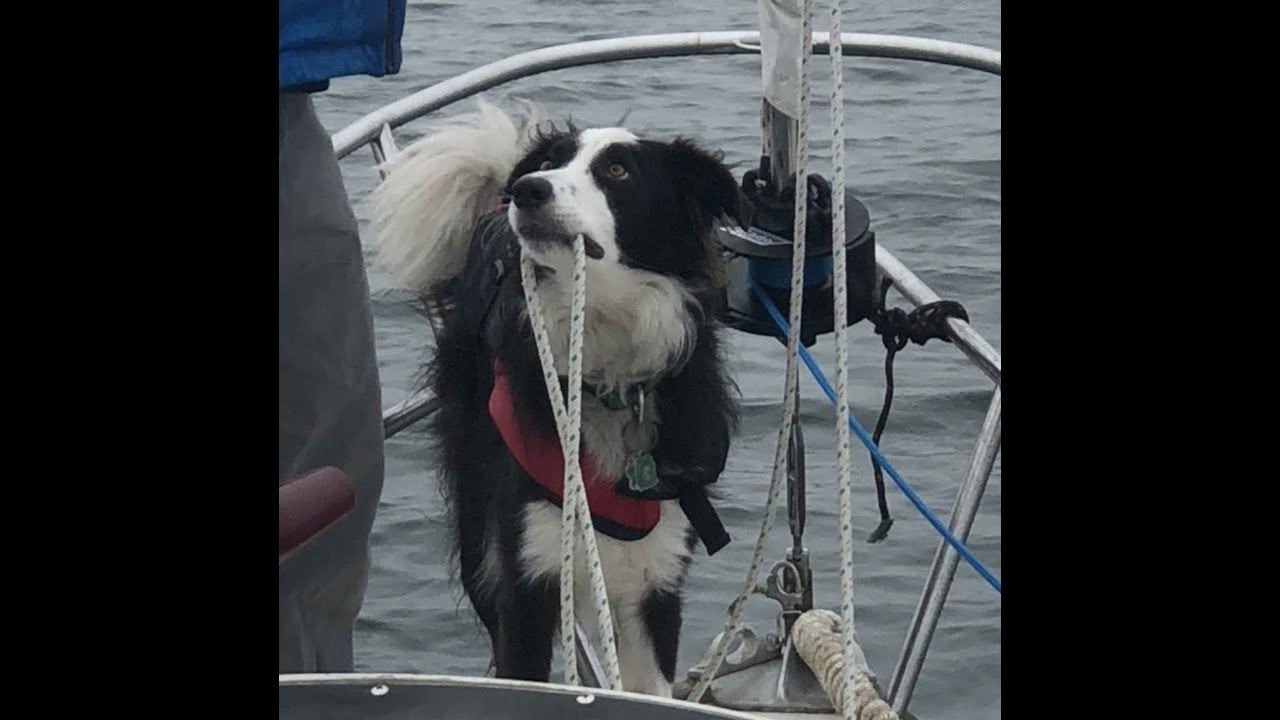 Instrumentation and Electronics and a Spinnaker. Story #5 - YouTube