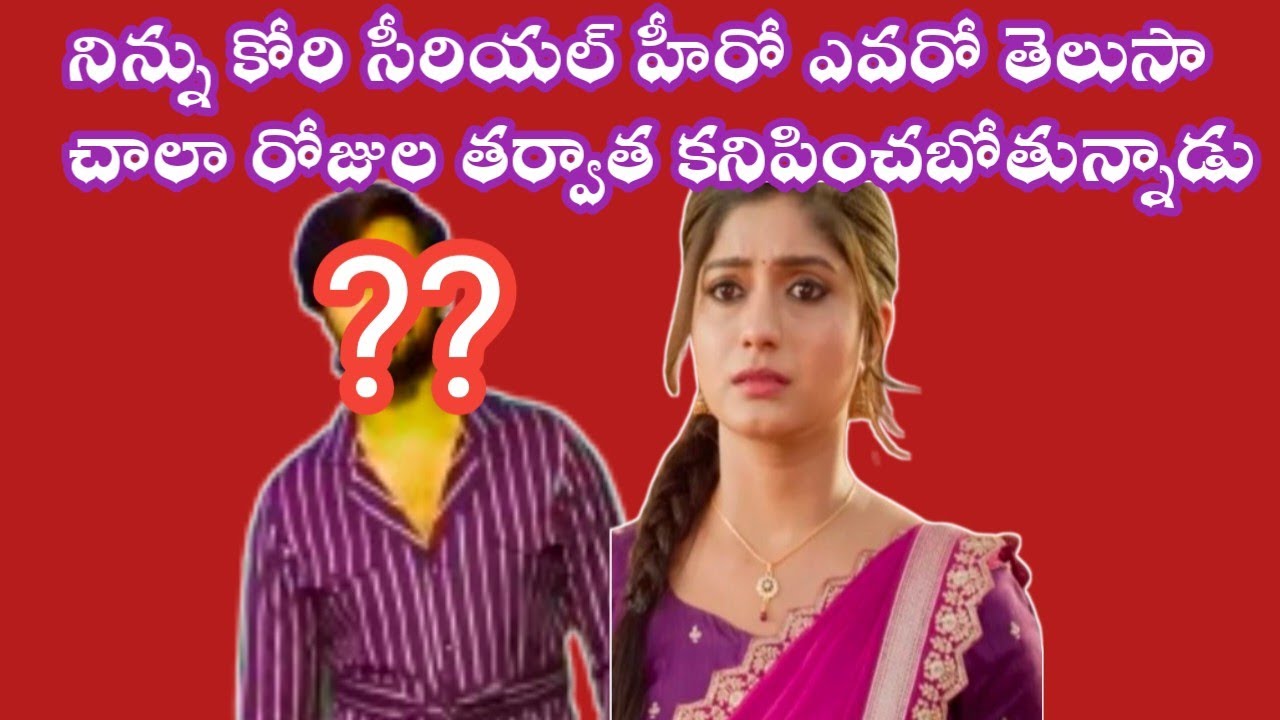 Ninnu kori new serial Hero revealed Timings starmaa serials today new ...