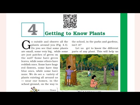getting to know plants class 6 NCERT chapter number 4 part 1 - YouTube