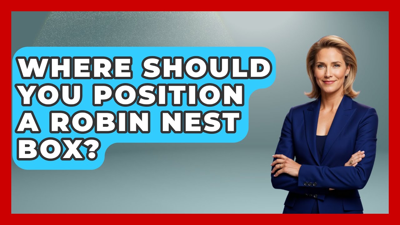 Where Should You Position A Robin Nest Box? - Bird Watching Diaries ...