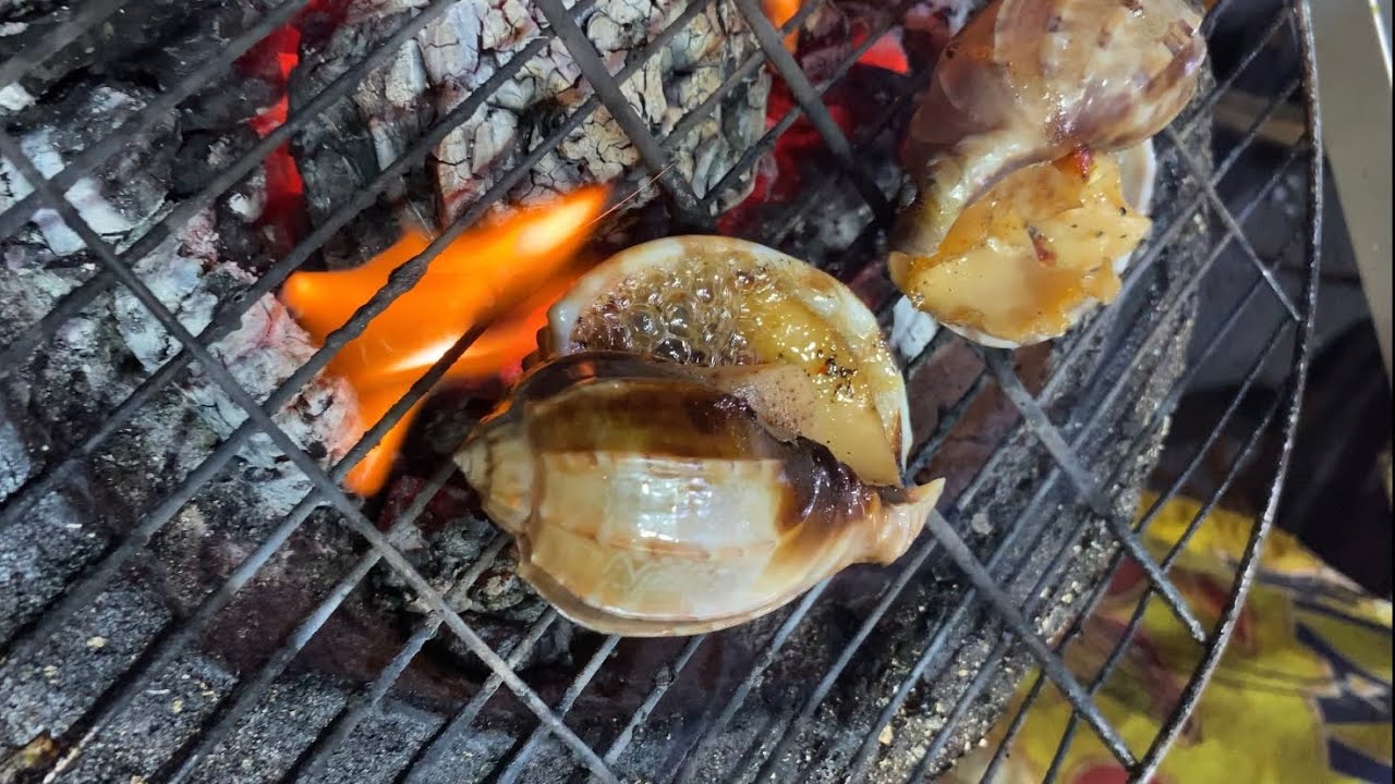 Sea food BBQ / bulot snails barbecue #shorts #seafood #snails # ...