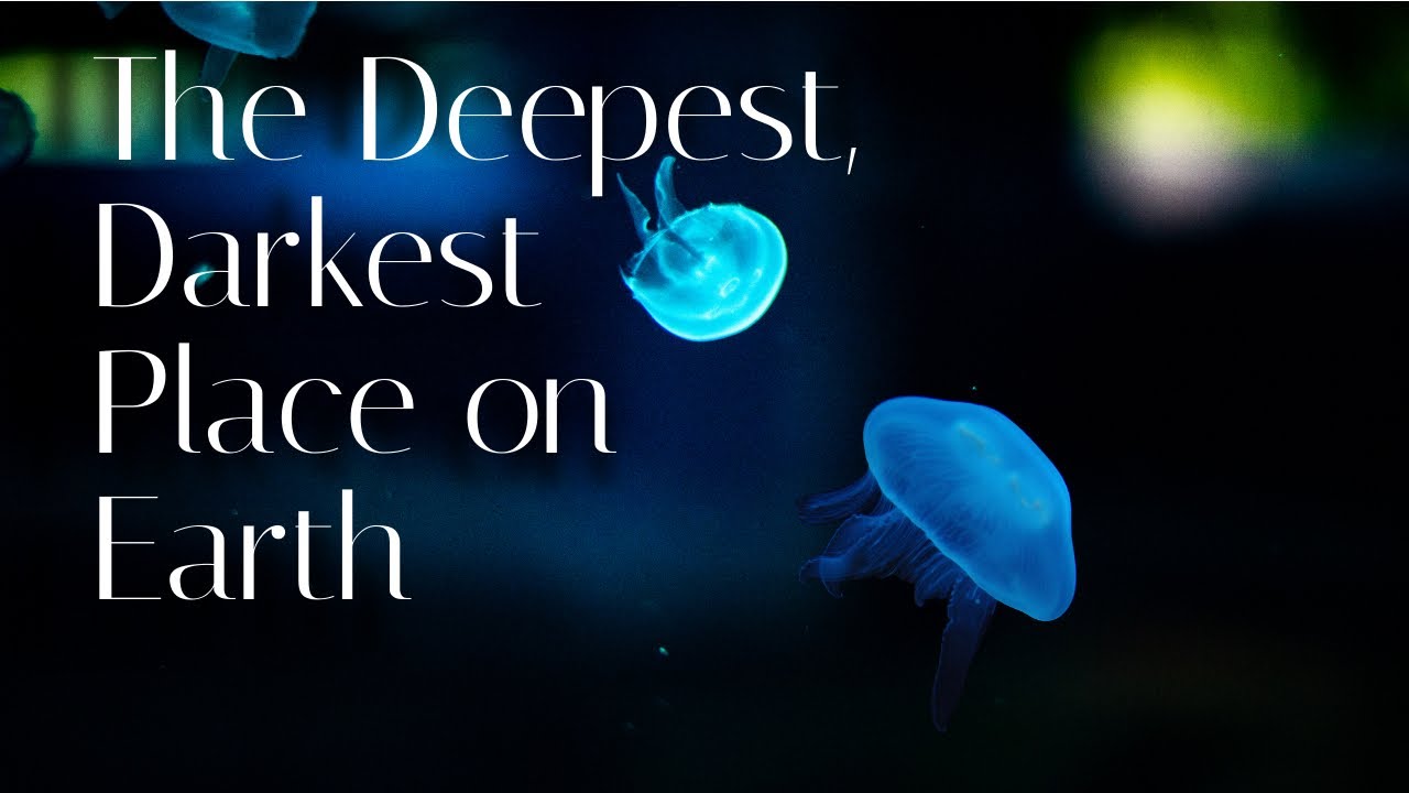 The Deepest, Darkest Place on Earth: Meet the Amazing Creatures of the ...