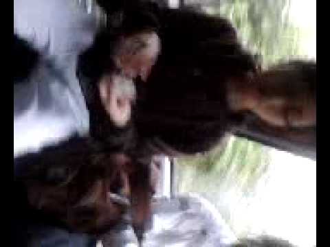 gila-gilaan di angkot