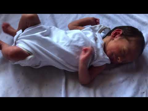 BEBİŞ 22 GÜNLÜKKEN