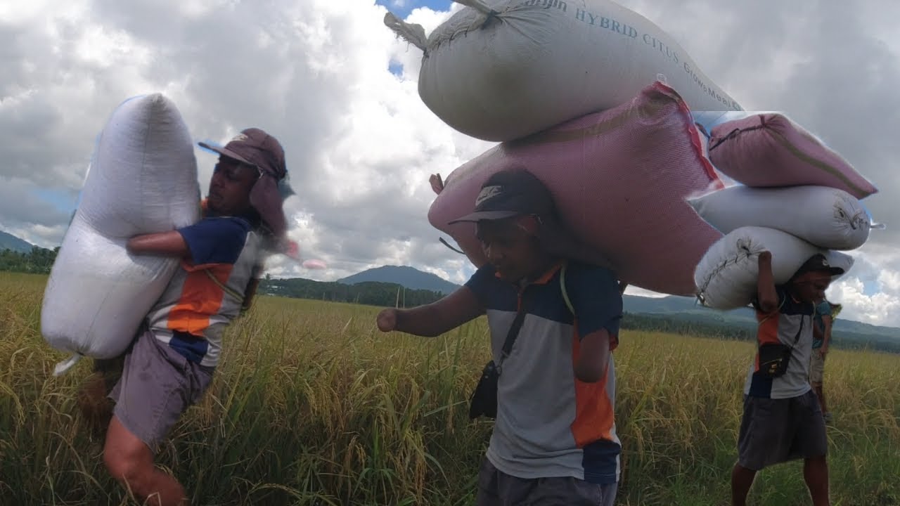 Inspiring Disabled Man | Kargador ng Palay | Hanap Buhay | Jhojean Vlog ...
