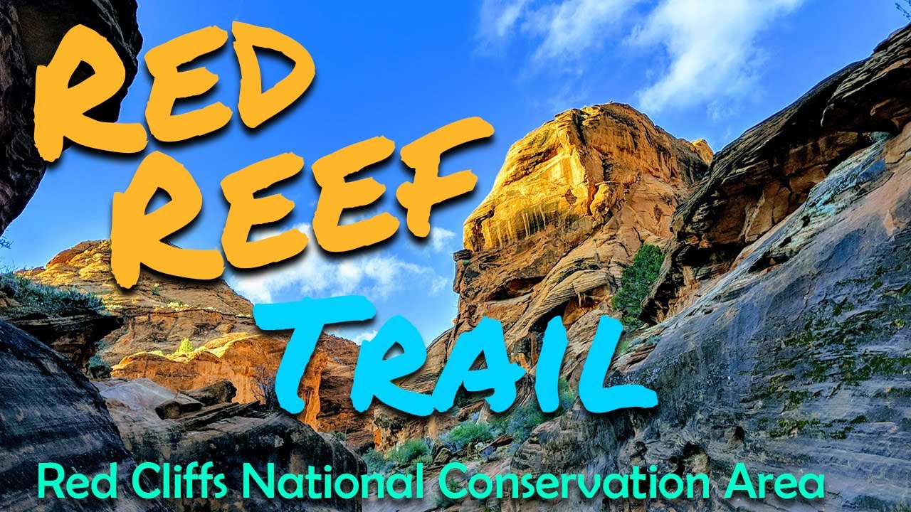 Red Reef Trail, Red Cliffs National Conservation Area - YouTube