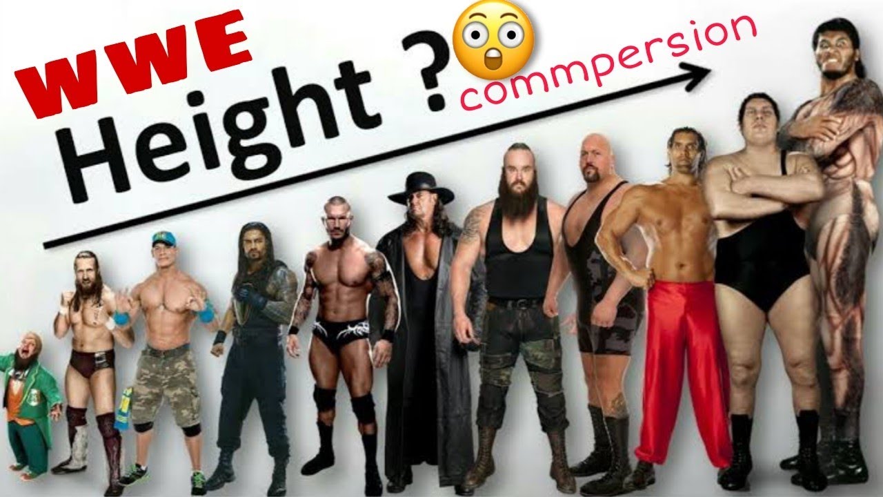 height comparison of male wwe superstars 2021 - height weight ...