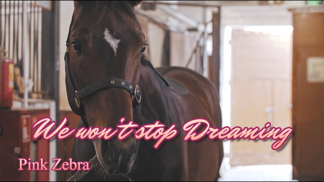 We Won't Stop Dreaming- Lyric Video | Pink Zebra | Showroom Partners ...
