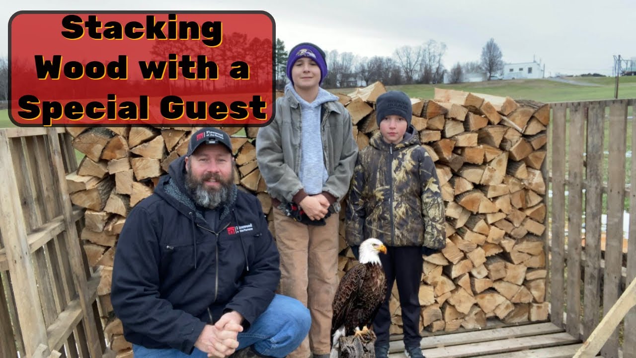 STACKING FIREWOOD WITH A SPECIAL GUEST - #57. - YouTube