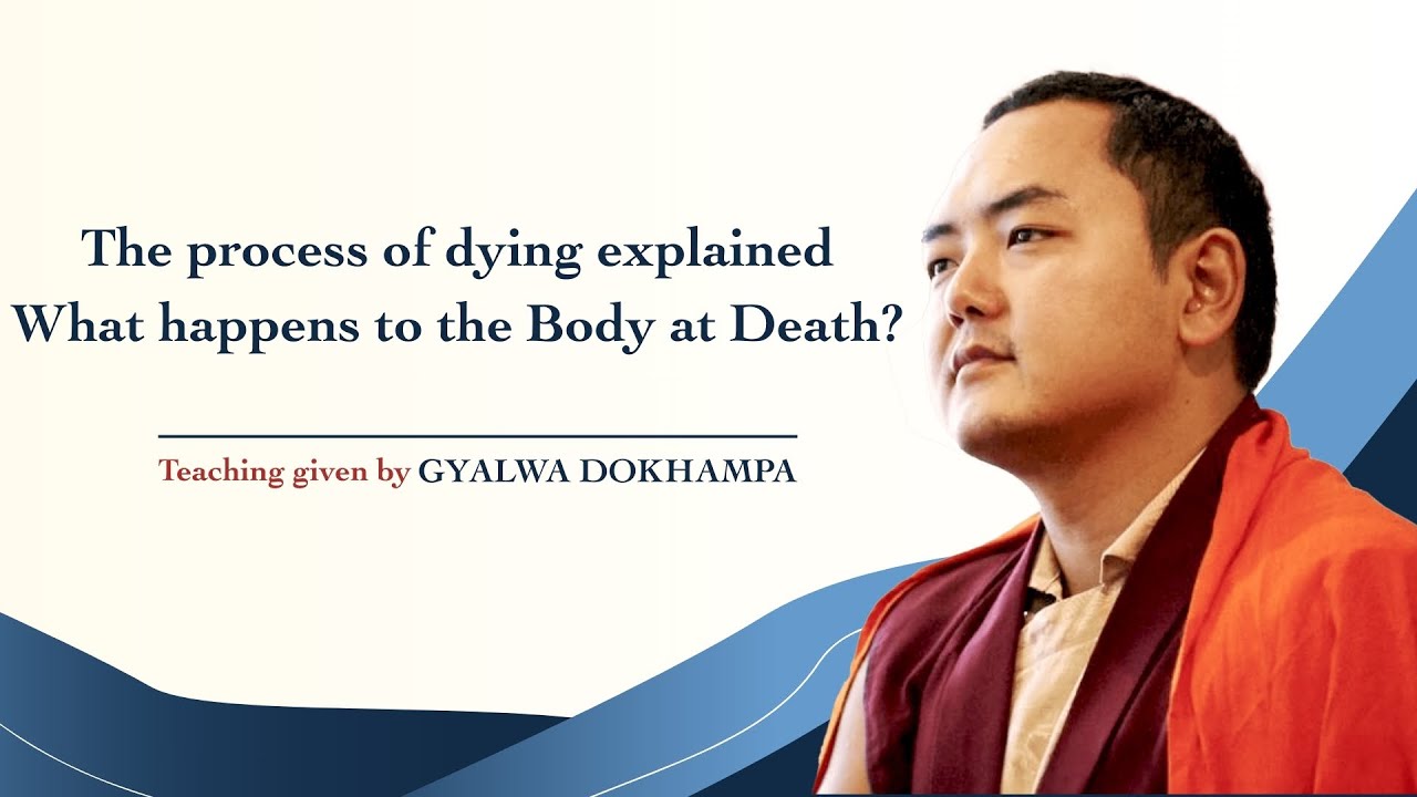 The process of dying explained - What happens to the Body at Death ...
