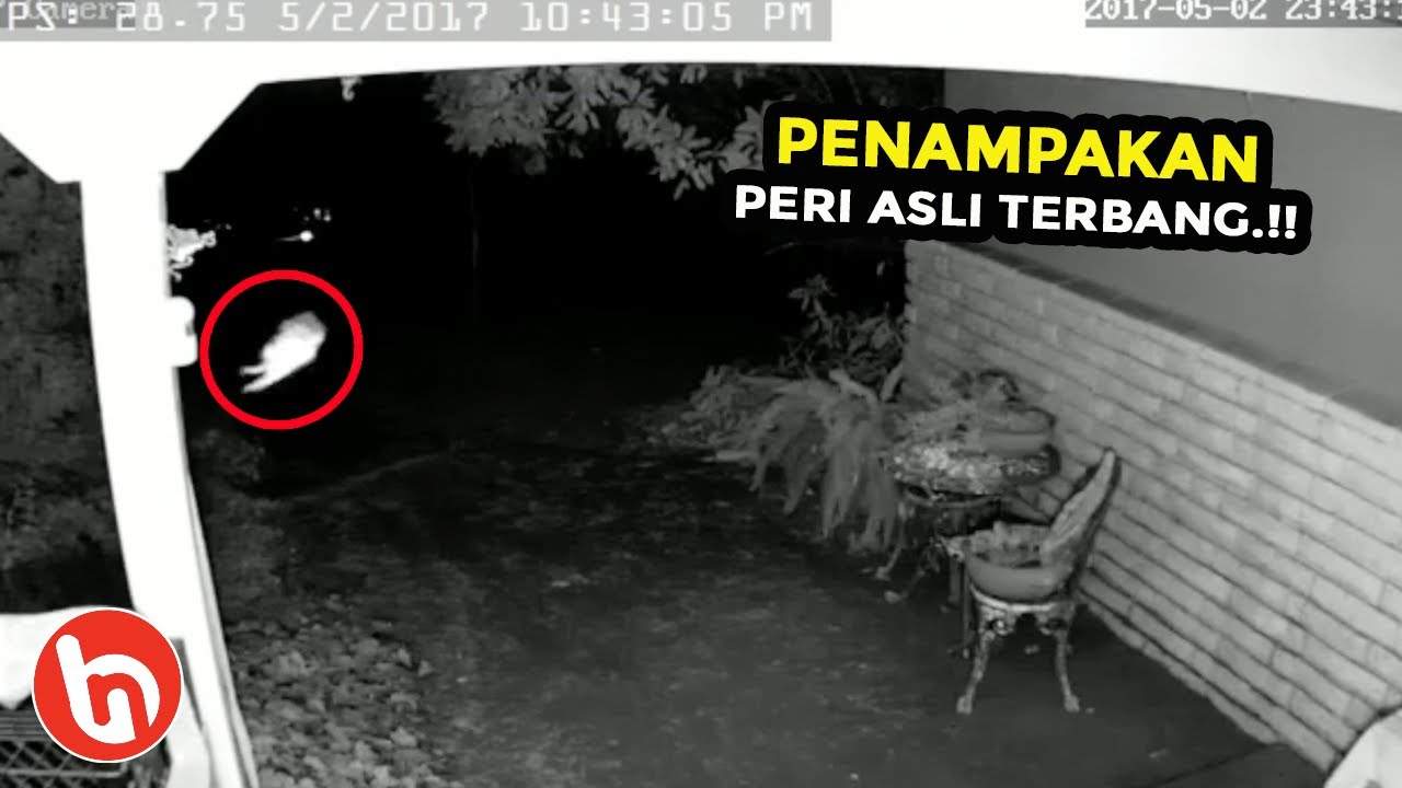 Meski Sudah Terekam Masih Saja Ndak Percaya! Inilah Penampakan Peri ...