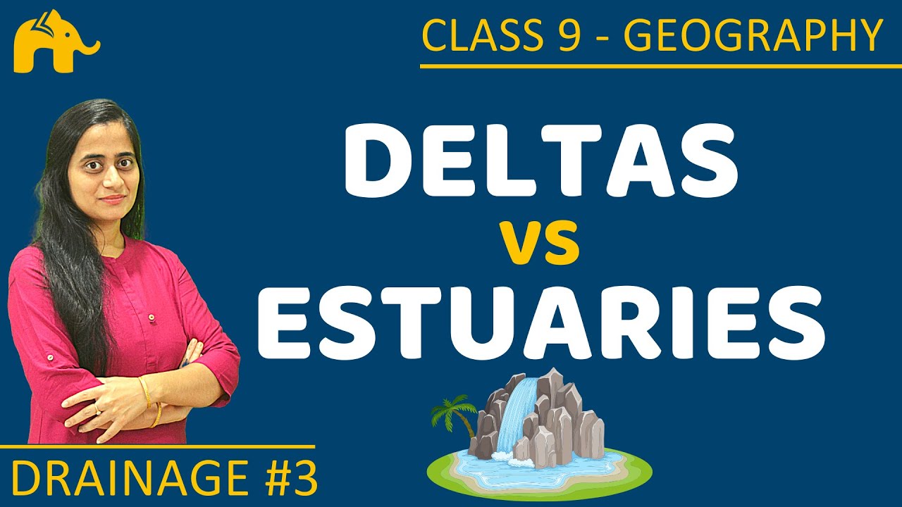 Deltas and Estuaries | Drainage #3 | Class 9 Geography - YouTube