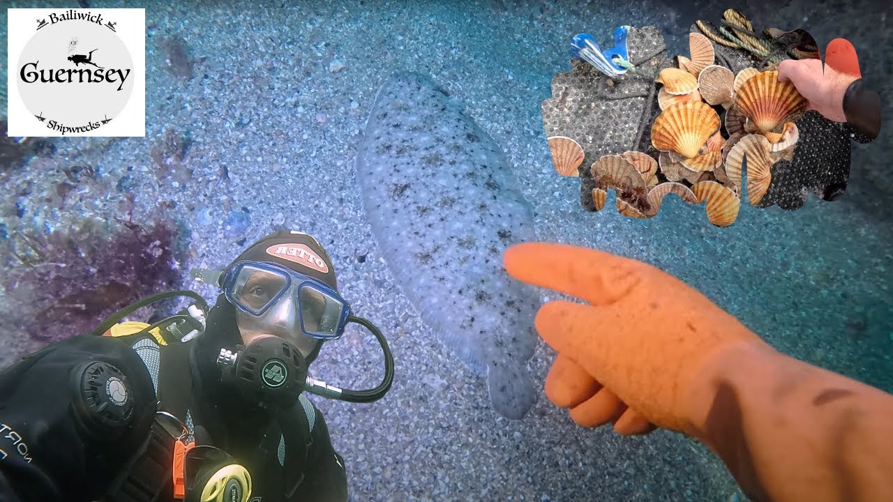 Taking time to relax scuba diving and exploring WW2 Shipwreck remains ...
